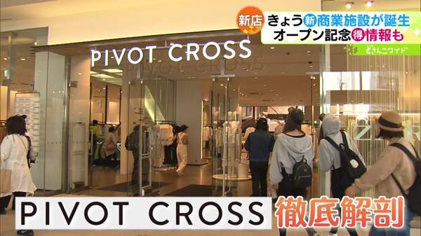 新ビルが札幌に誕生！注目のピヴォクロスに潜入 ｜ 中継 ｜ どさんこワイド179 ｜ テレビ ｜ STV札幌テレビ
