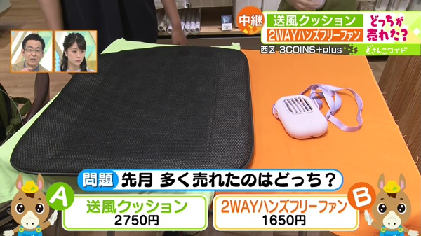 どっちが売れたでショー！夏の3COINS+plus編 ｜ 中継 ｜ どさんこワイド179 ｜ テレビ ｜ STV札幌テレビ